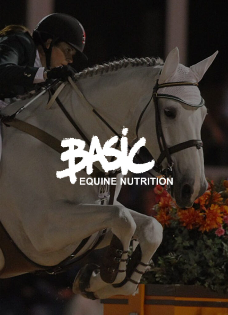 Carrera Horses – Training World Class Horses