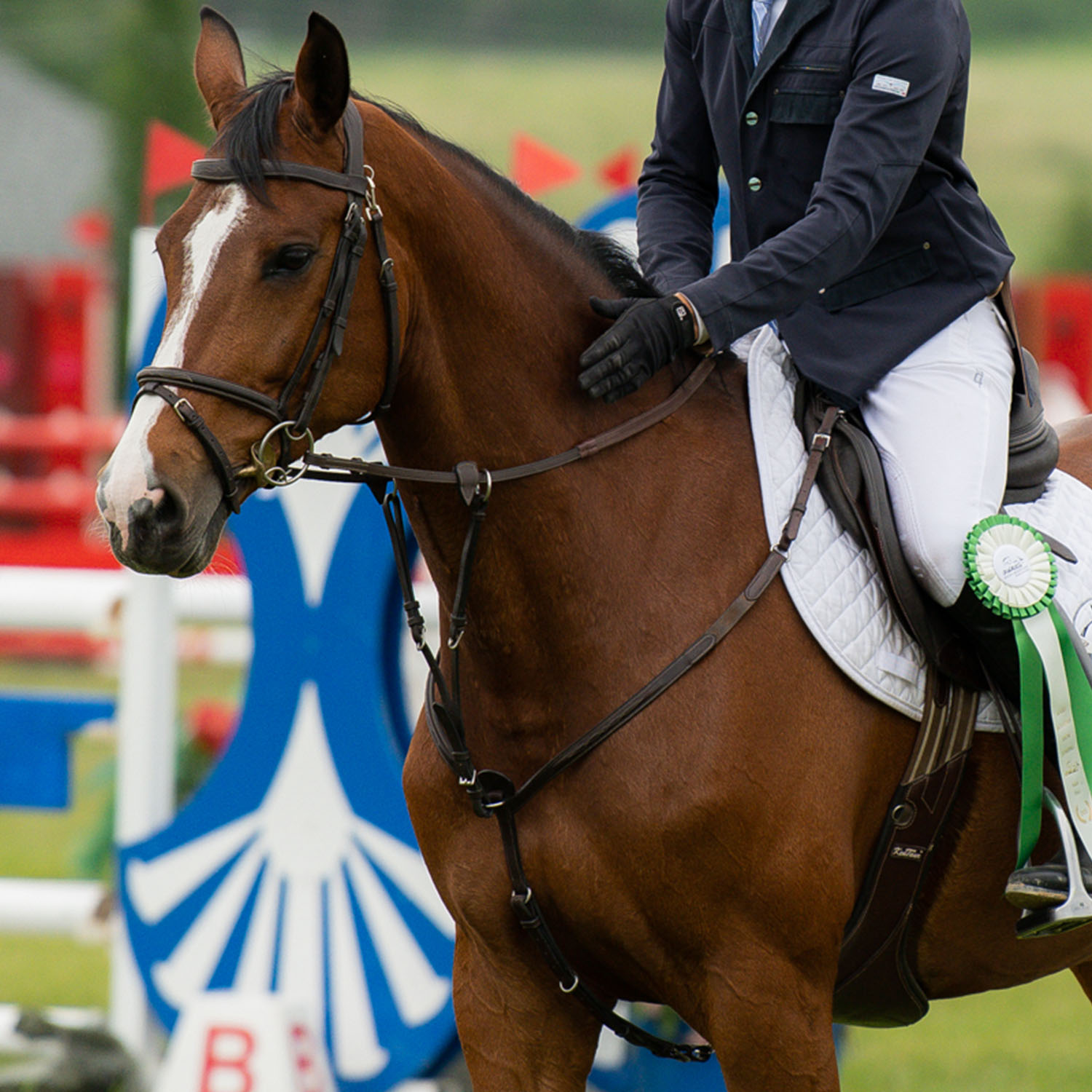 Carrera Horses | World-Class Show Jumping Horses